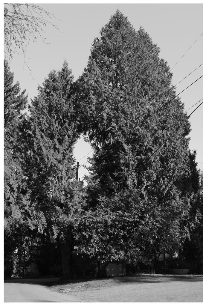 Jon_Feinstein_Breathers_2018-1 - Photographic Center Northwest