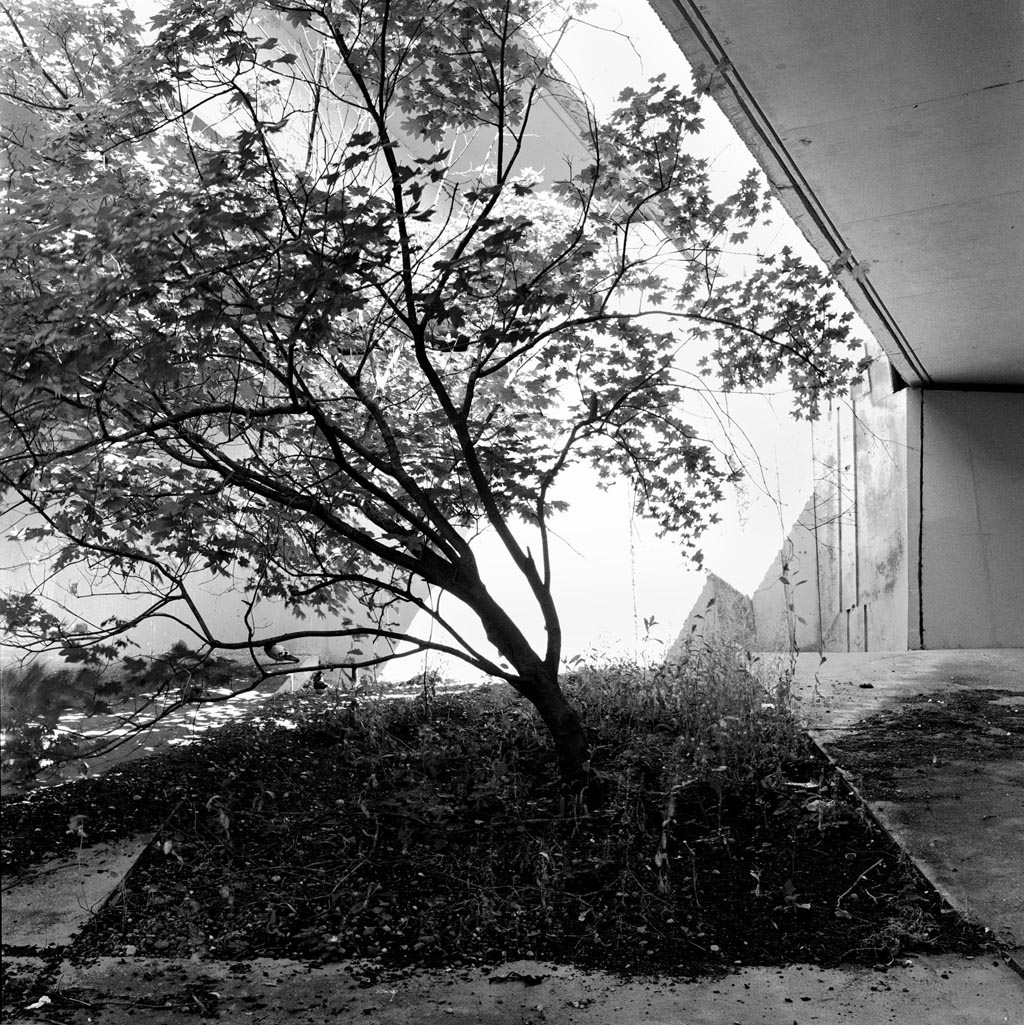 LONG SHOT EXHIBITION IMAGES CHOSEN - Photographic Center Northwest